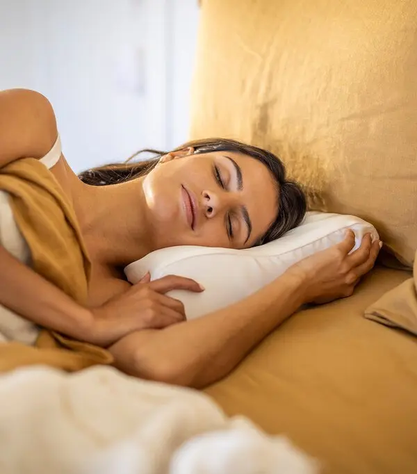 HYOUMANKIND Go Pillow Silk Bundle