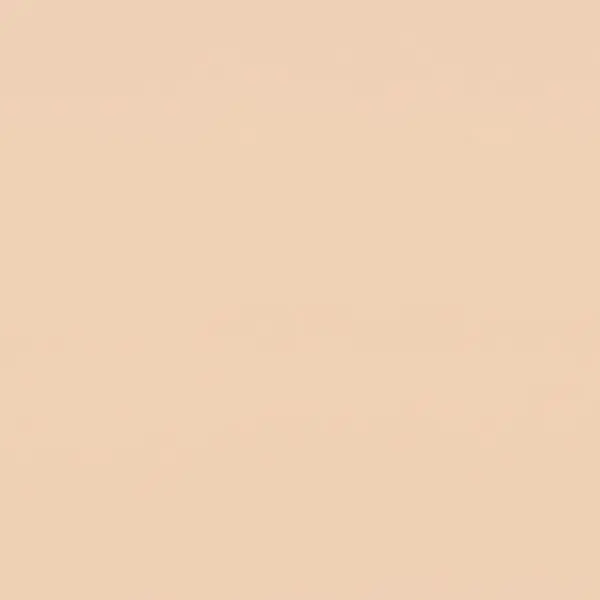 ANASTASIA BEVERLY HILLS Magic Touch Concealer - Neutral