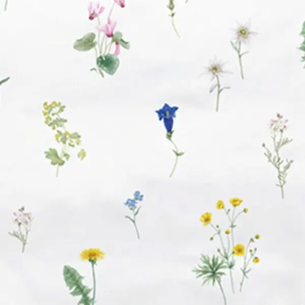 SCHLOSSBERG Flurina King Duver Cover