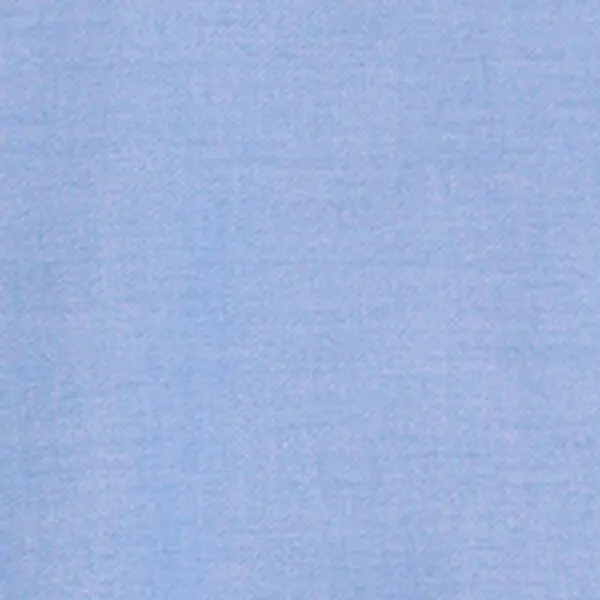 Max Mara Cotton Oxford Shirt - Blue