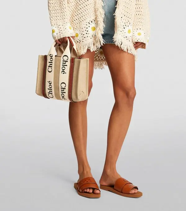 Chloé Small Woody Tote - Brown