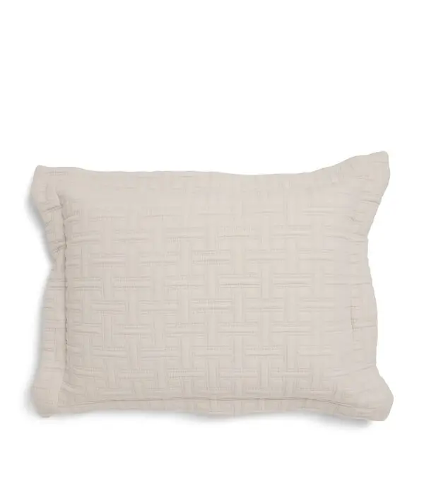 PETER REED Embroidered Kengo Oxford Cushion - Neutral