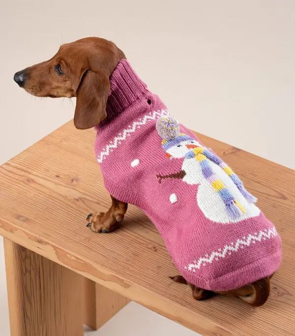 ALQO WASI Alpaca-blend Dog Sweater