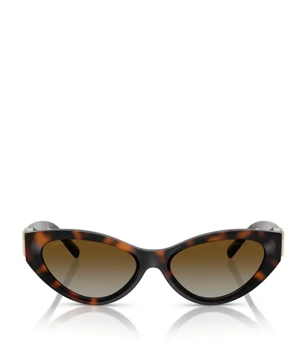 Tiffany & Co. Tortoiseshell Cat Eye Sunglasses - Brown