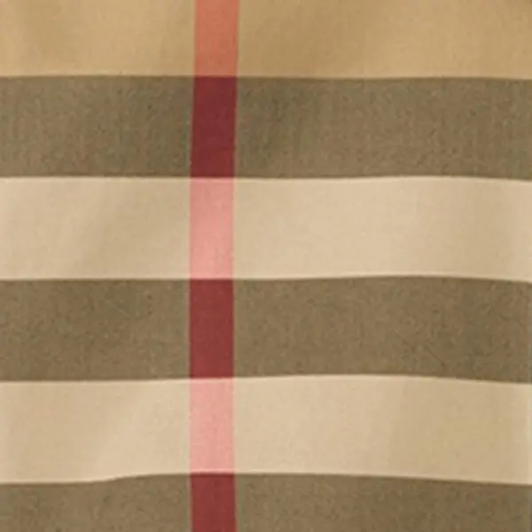Burberry Cotton Check Shirt