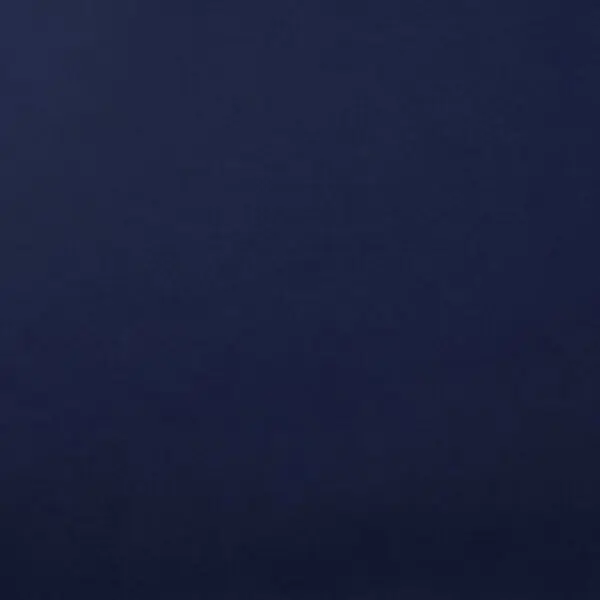 Ralph Lauren Cotton Player King Pillowcase - Navy