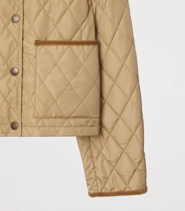 Burberry Quilted Field Jacket - Beige