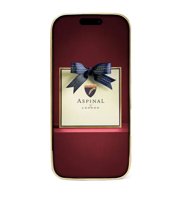 ASPINAL OF LONDON Leather Iphone 16 Pro Case