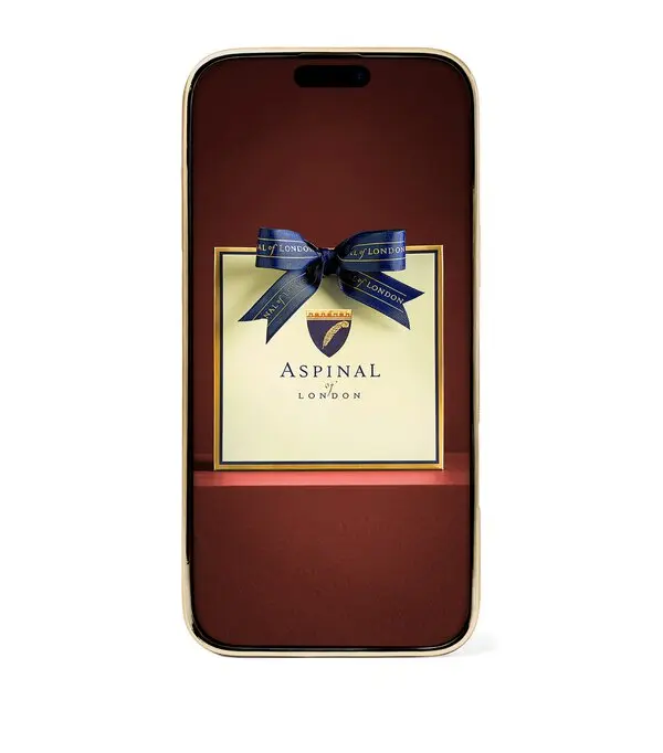 ASPINAL OF LONDON Leather Iphone 16 Pro Max Case