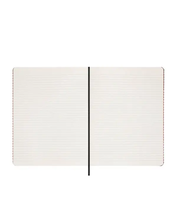 MOLESKINE Shine Collector's Notebook And Pen Set