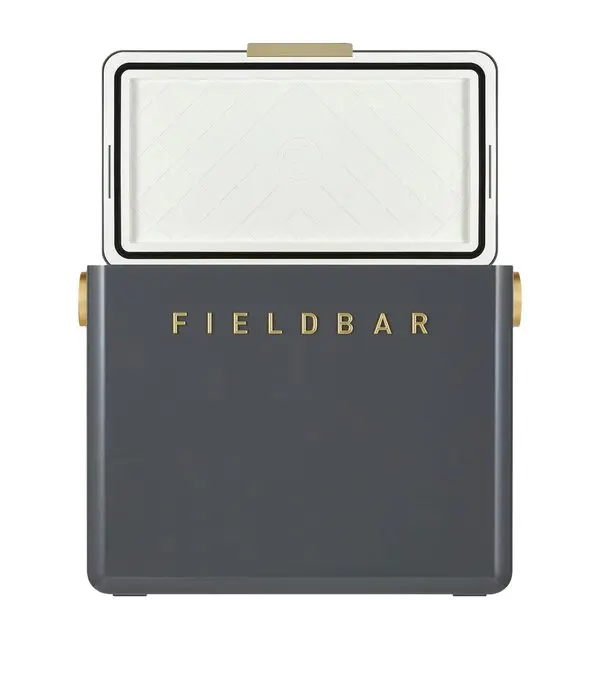 FIELDBAR Gin Trunk Cooler Box - Grey