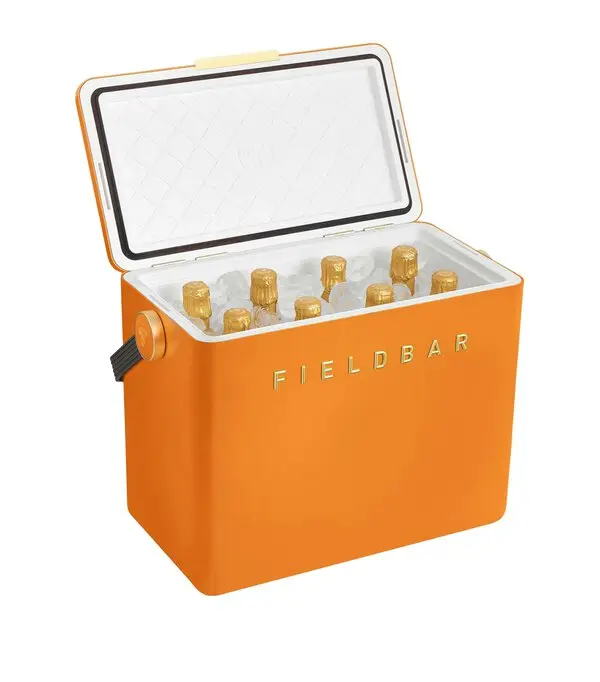 FIELDBAR Gin Trunk Cooler Box - Orange
