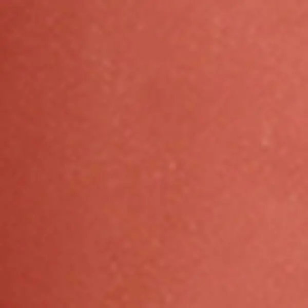 CHANTECAILLE Lip Chic - Pink