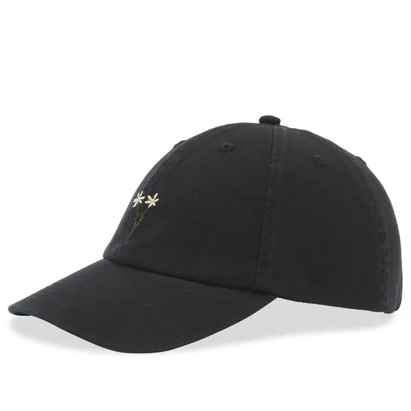 FORET Posy Washed Cap - Black