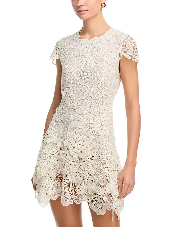 Simkhai Novelle Lace Mini Dress