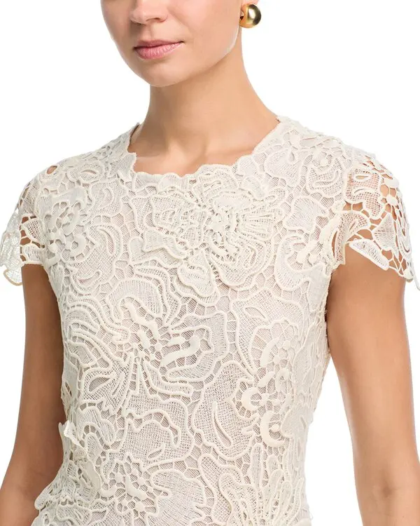 Simkhai Novelle Lace Mini Dress