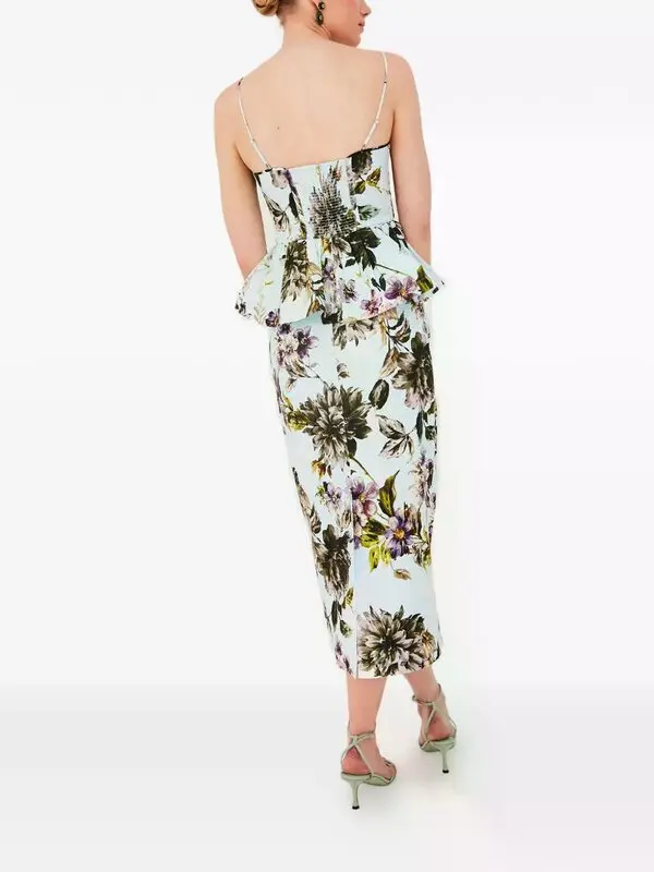 Cara Cara Alba Floral-print Peplum Top - Blue