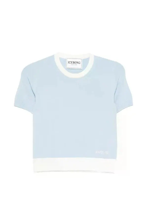 Iceberg Short Sleeve Top