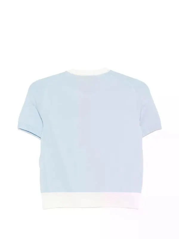 Iceberg Short Sleeve Top