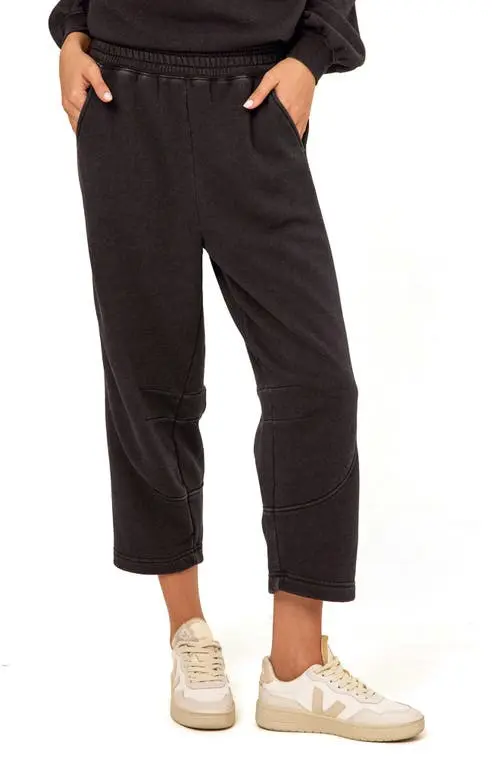 THREADS 4 THOUGHT Chantel Mineral Wash Crop Wide Leg Pants - Black