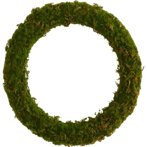 NEARLY NATURAL 20-in Moss Artificial Wreath
