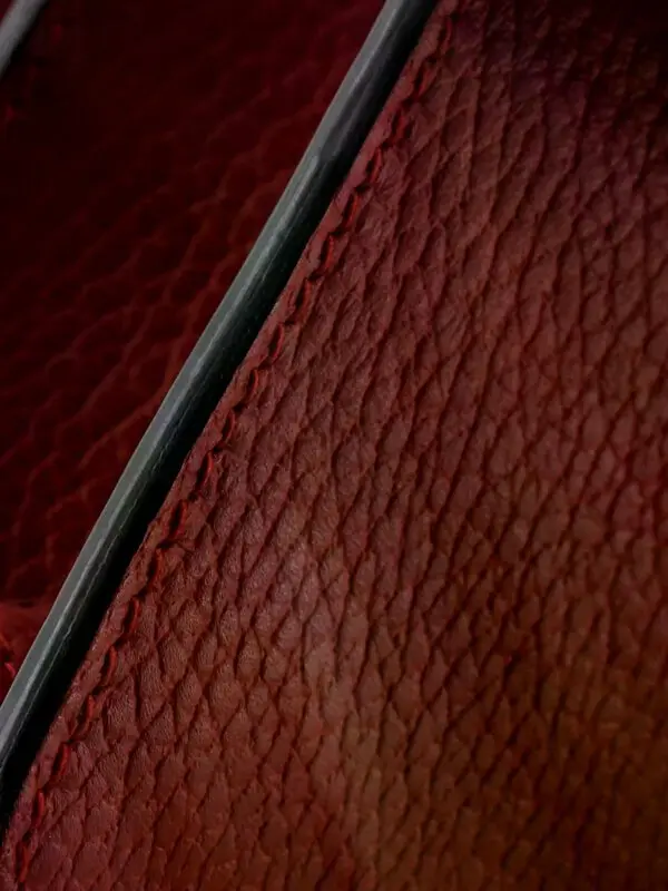 Gucci Dionysus Small Shoulder Bag - Red