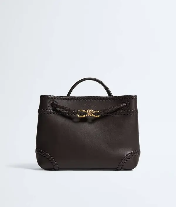 Bottega Veneta Andiamo Top Handle Bag