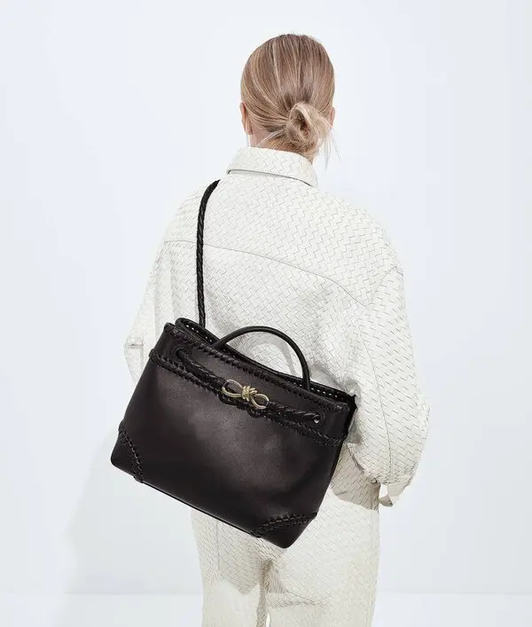 Bottega Veneta Andiamo Top Handle Bag