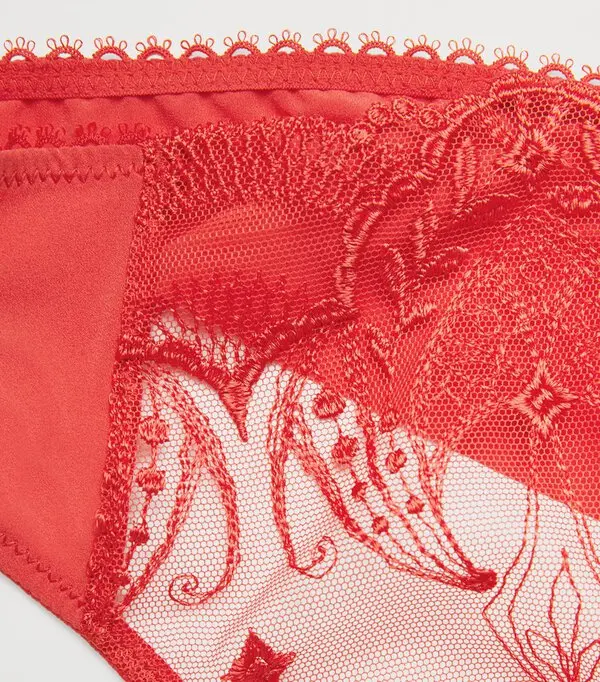 Maison Lejaby Poesie Tanga Briefs