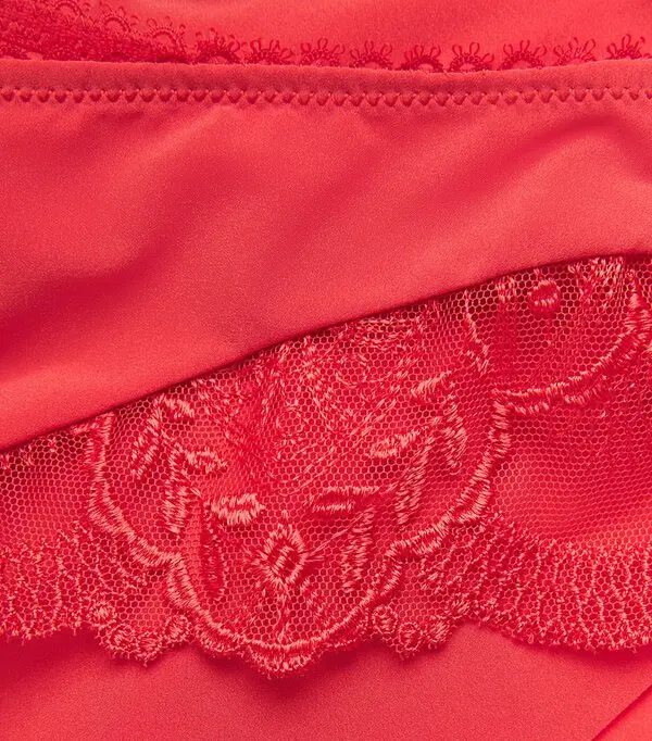 Maison Lejaby Poesie Briefs