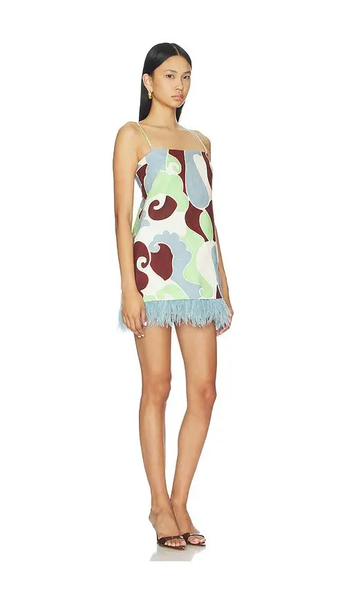 Cara Cara Valencia Mini Dress