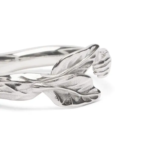 MAPLE X F/ce. Olive Branch Ring