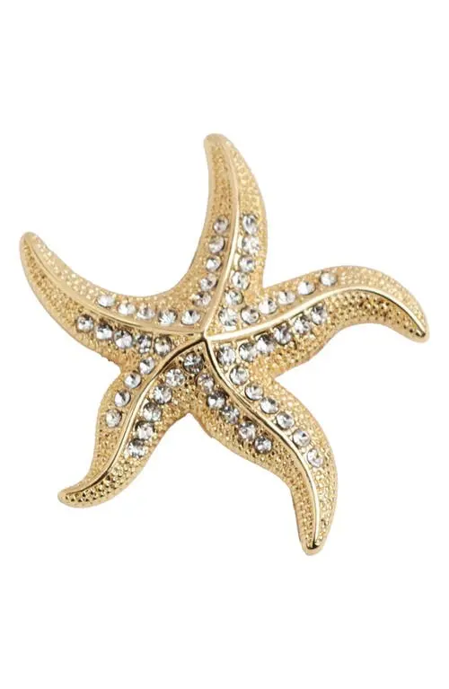 PANACEA Starfish Brooch