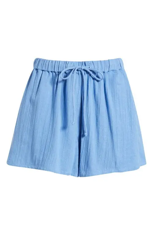 Rip Curl Premium Surf Holiday Shorts - Cornflower Blue