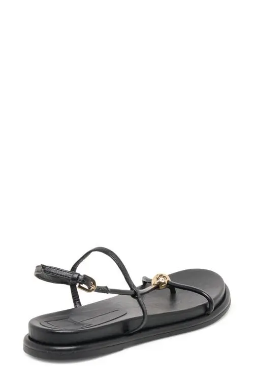 Dolce Vita Strappy Sandal - Black Leather