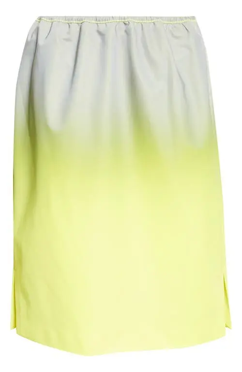 Alexander Wang Gradient Reflective Skirt