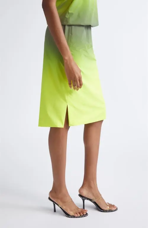 Alexander Wang Gradient Reflective Skirt