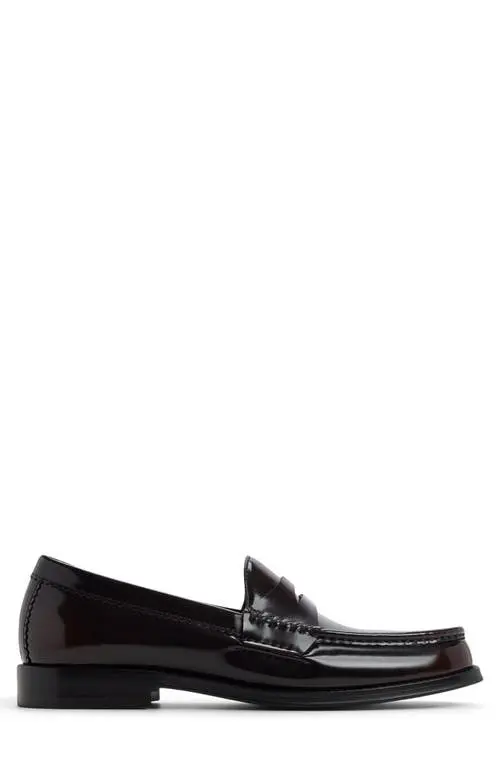 Aldo Ludovik Penny Loafer