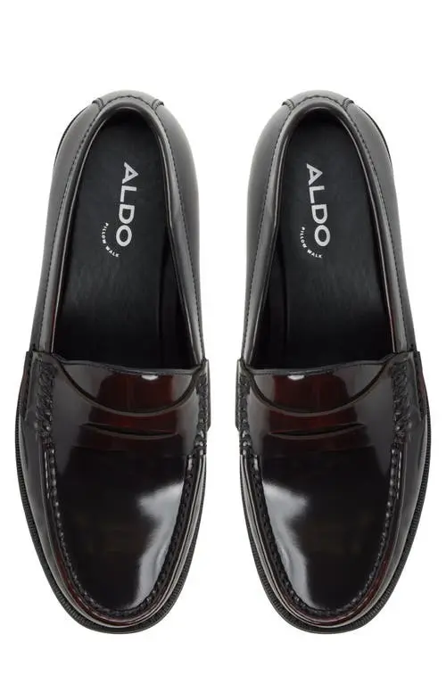 Aldo Ludovik Penny Loafer
