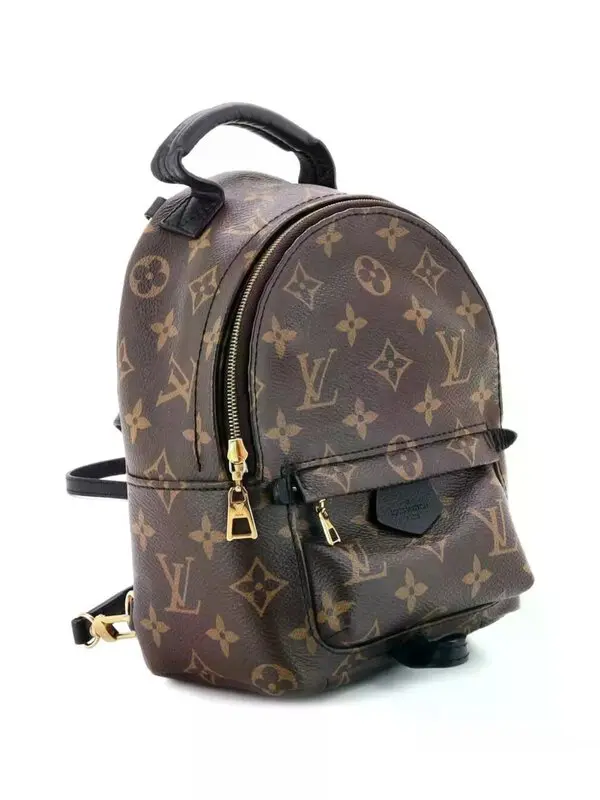 LOUIS VUITTON Palm Springs Monogram Canvas Mini Backpack
