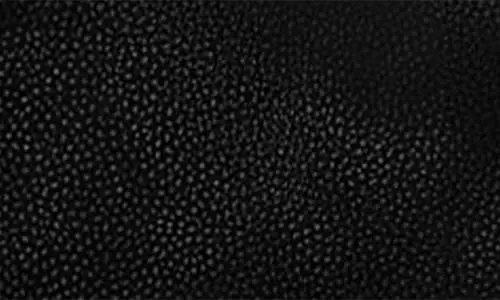 Rebecca Minkoff Mini Studded Leather Tote