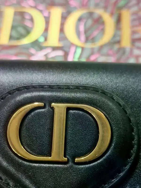 Dior Mini Bobby Leather Bag
