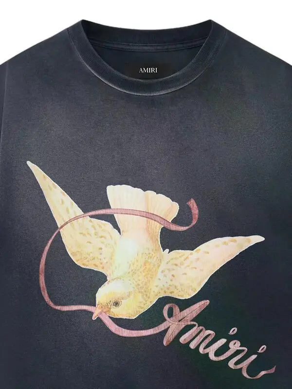 Amiri Bird-print Oversized T-shirt