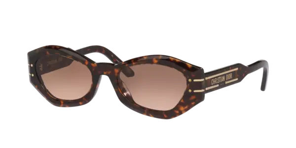 Dior Diorsignature B1u Sunglasses - Brown Gradient