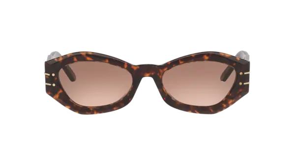 Dior Diorsignature B1u Sunglasses - Brown Gradient