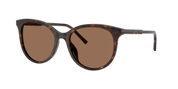 Dolce & Gabbana Sunglasses - Dark Brown