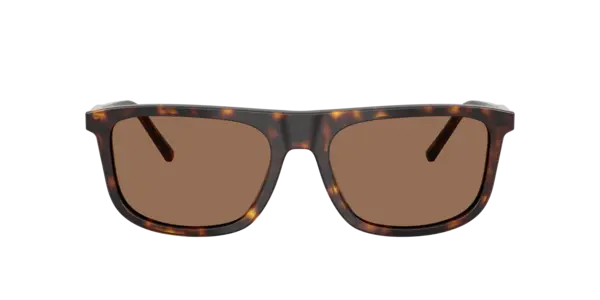Dolce & Gabbana Sunglasses - Dark Brown