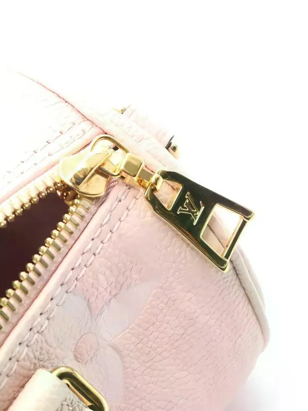 LOUIS VUITTON 2021 Bb Papillon Monogram Tote Bag