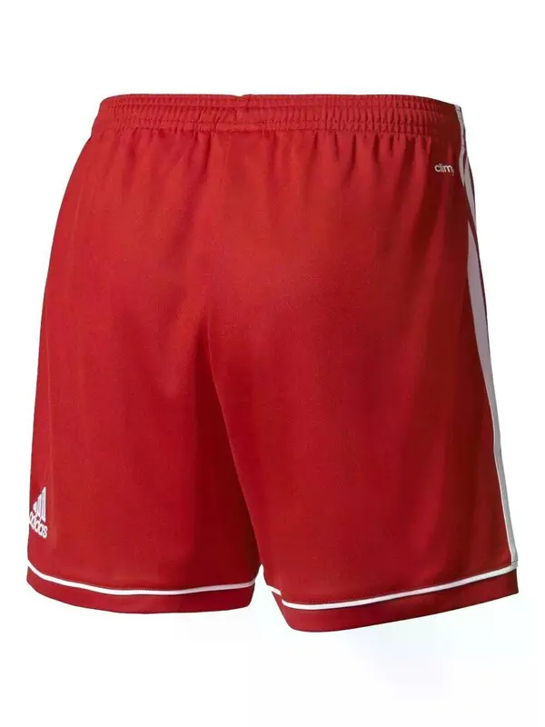 Adidas Stripes Logo Shorts