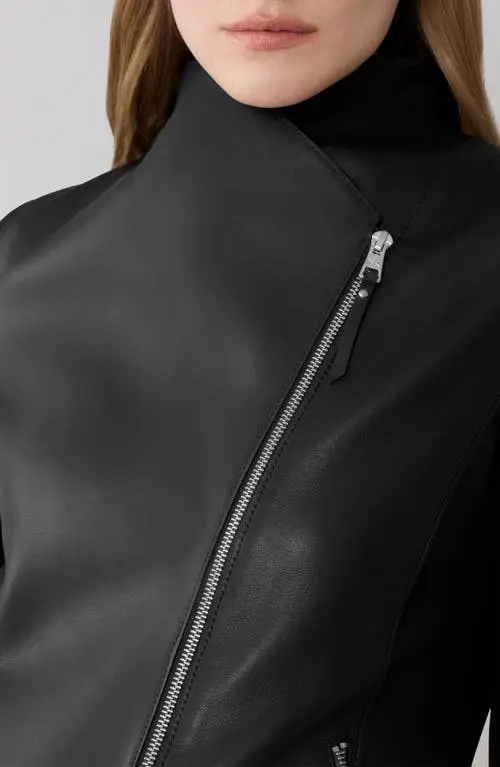 Soia & Kyo Catherine Leather Moto Jacket